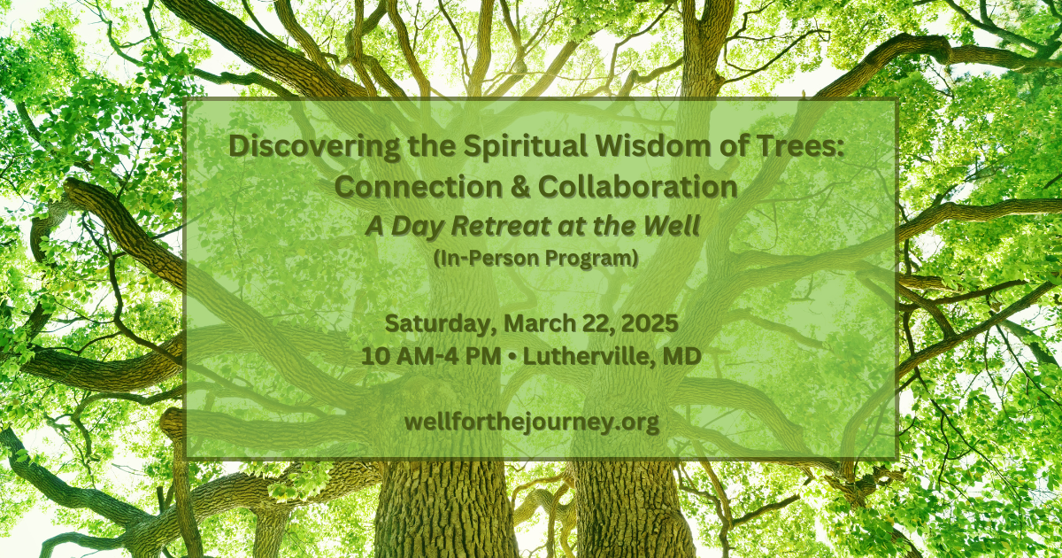 Well for the Journey | Discovering the Spiritual Wisdom of Trees ...